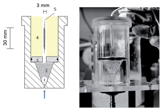 An Overview of In Vitro Drug Release Methods for Drug-Eluting Stents