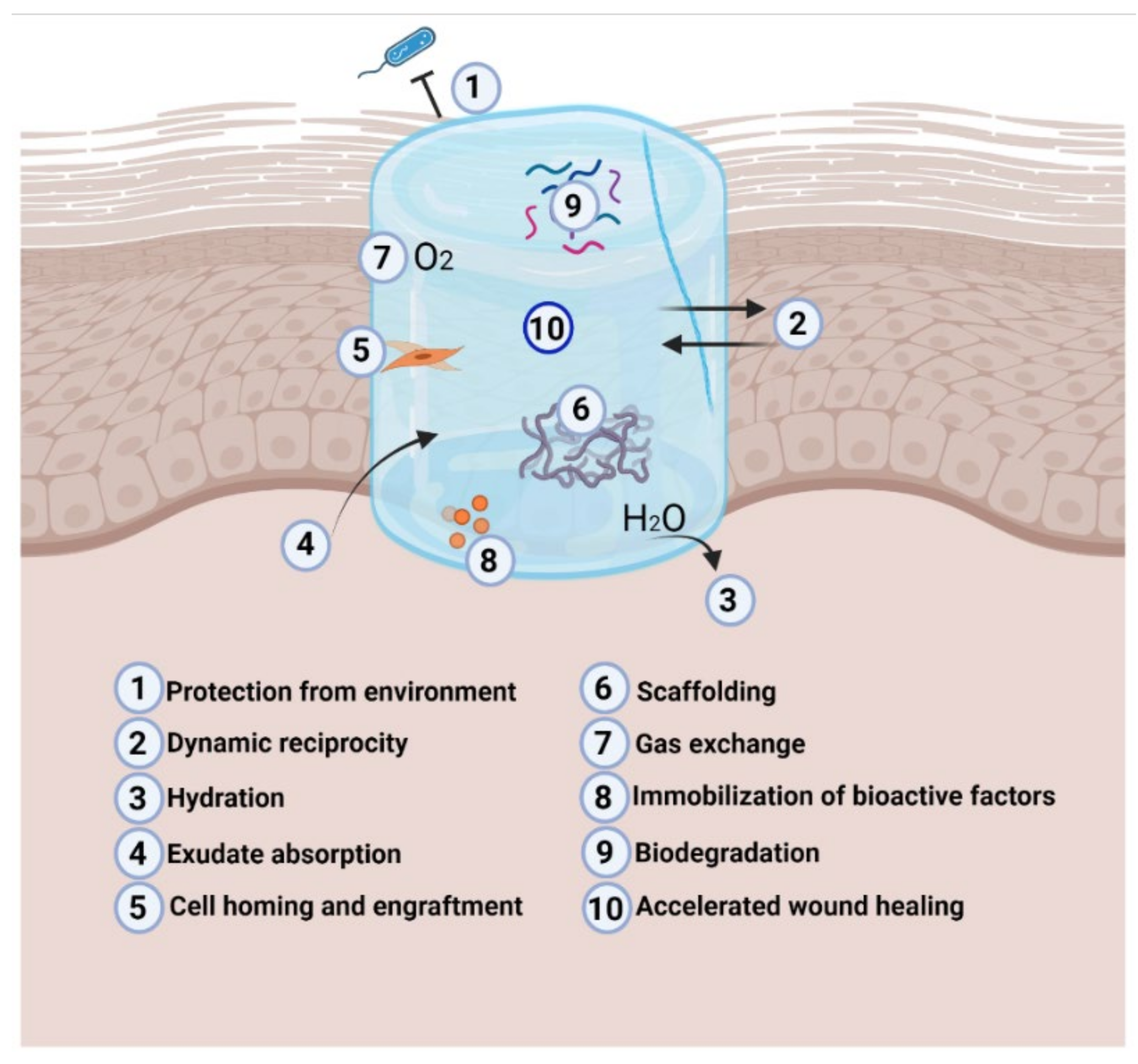 Current Advances in the Development of Hydrogel-Based Wound Dressings ...