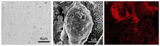 Chiral Porous Carbon Surfaces for Enantiospecific Synthesis