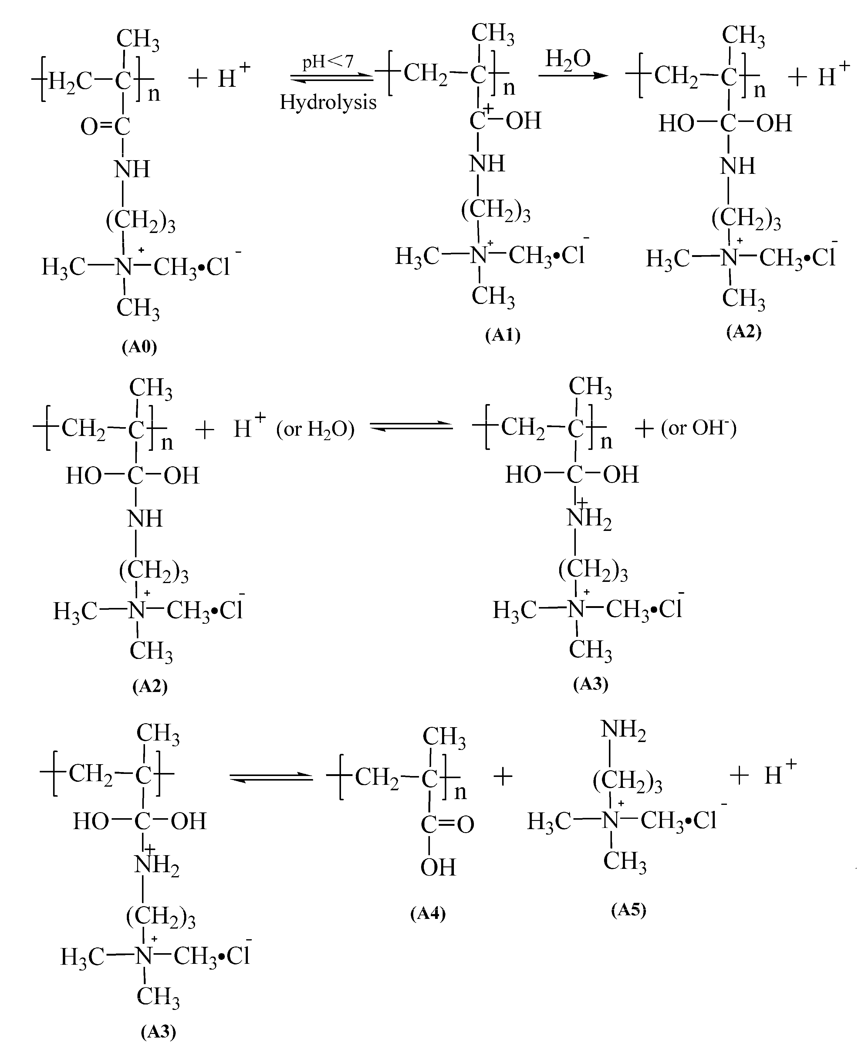 Study on Hydrolysis Properties and Mechanism of Poly(3-Methacrylamido ...
