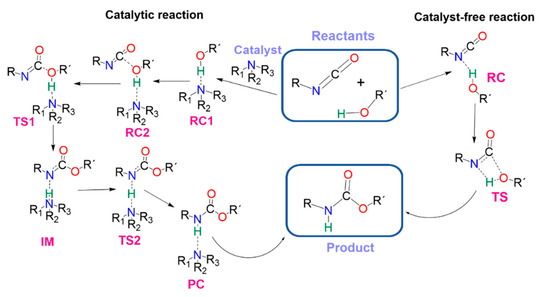Experimental and Theoretical Study of Cyclic Amine Catalysed Urethane ...