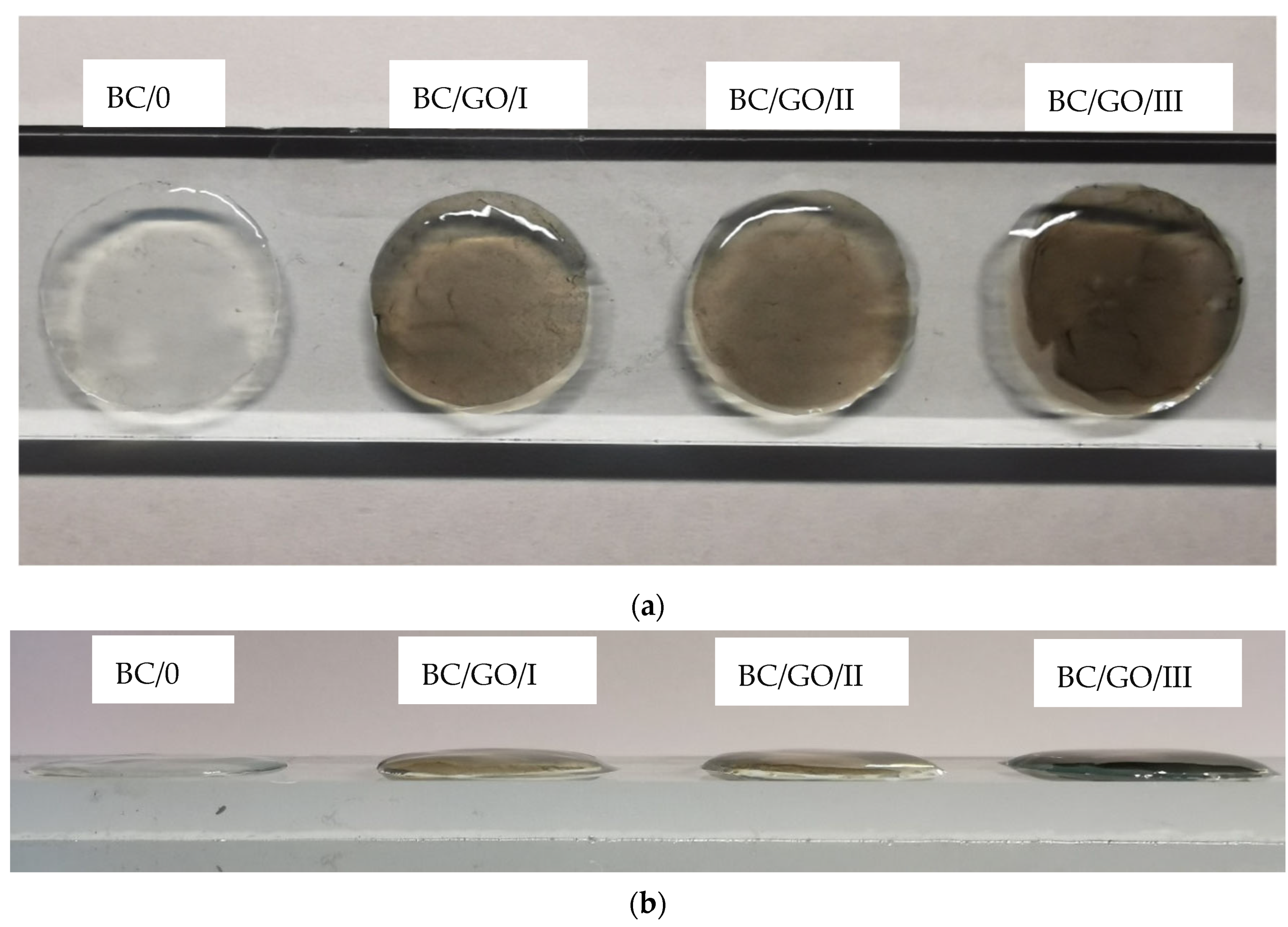 Preparation of an Active Dressing by In Situ Biosynthesis of a ...