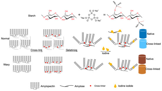 Effect of Amylose and Crystallinity Pattern on the Gelatinization ...