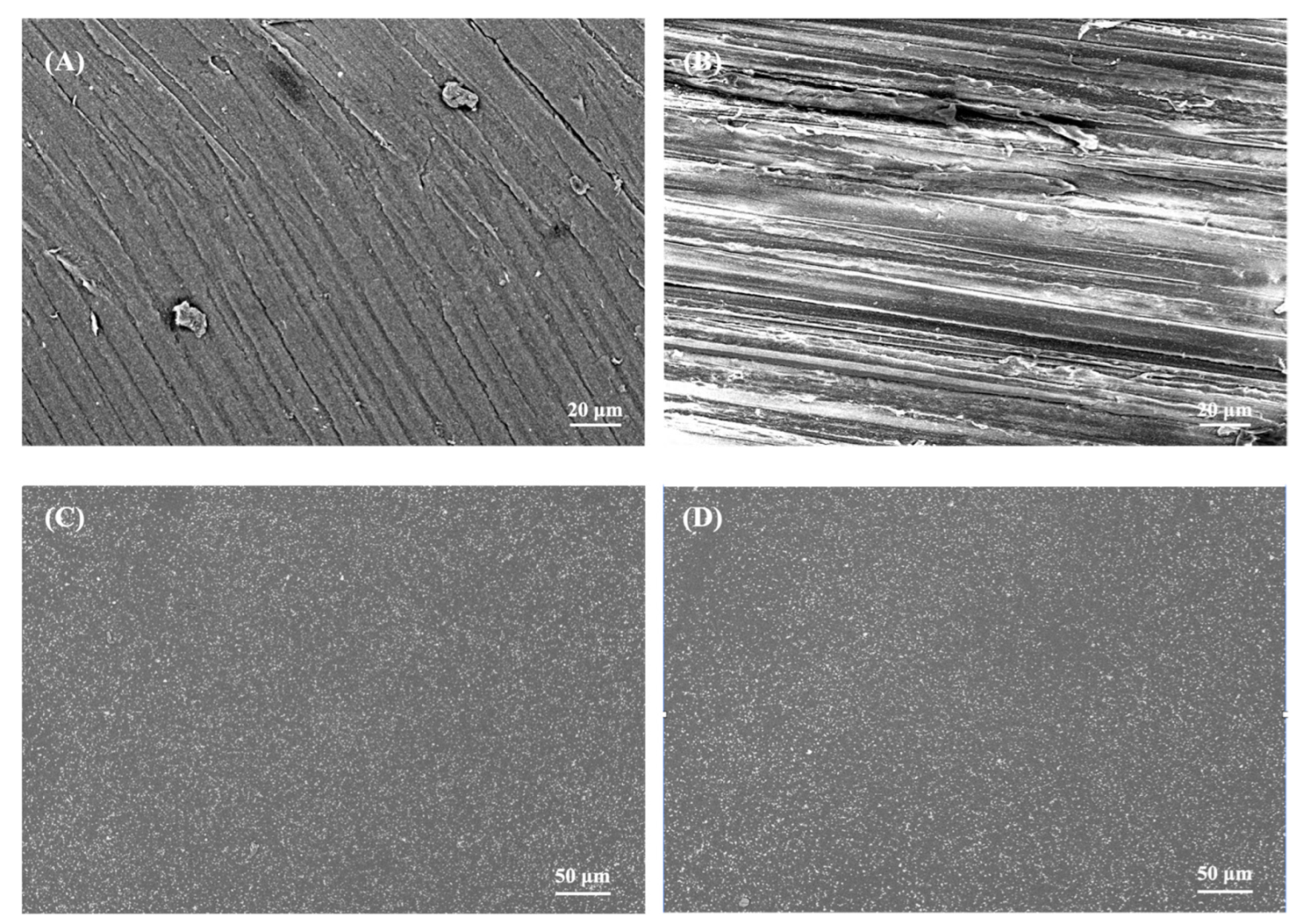 Characterization and Antibacterial Properties of Polyetherketoneketone ...