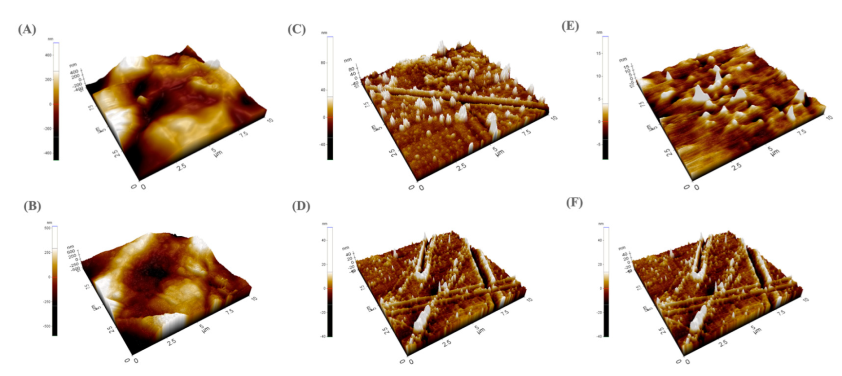 Characterization and Antibacterial Properties of Polyetherketoneketone ...