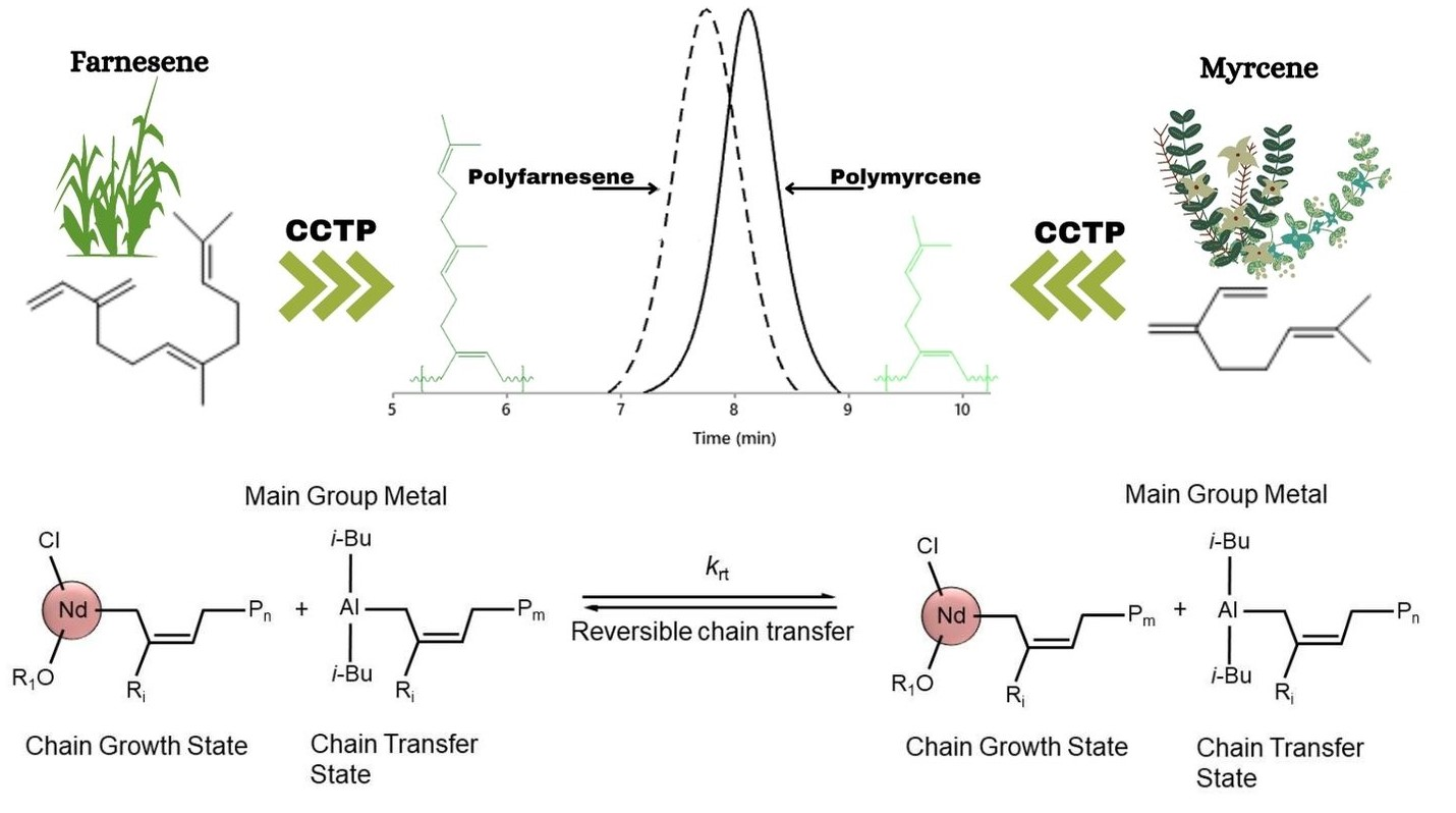 Polymers | Free Full-Text | Coordinative Chain Transfer Polymerization ...