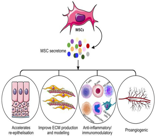 Cell Secretome Strategies for Controlled Drug Delivery and Wound ...