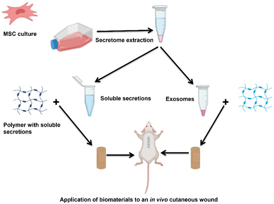 Cell Secretome Strategies for Controlled Drug Delivery and Wound ...