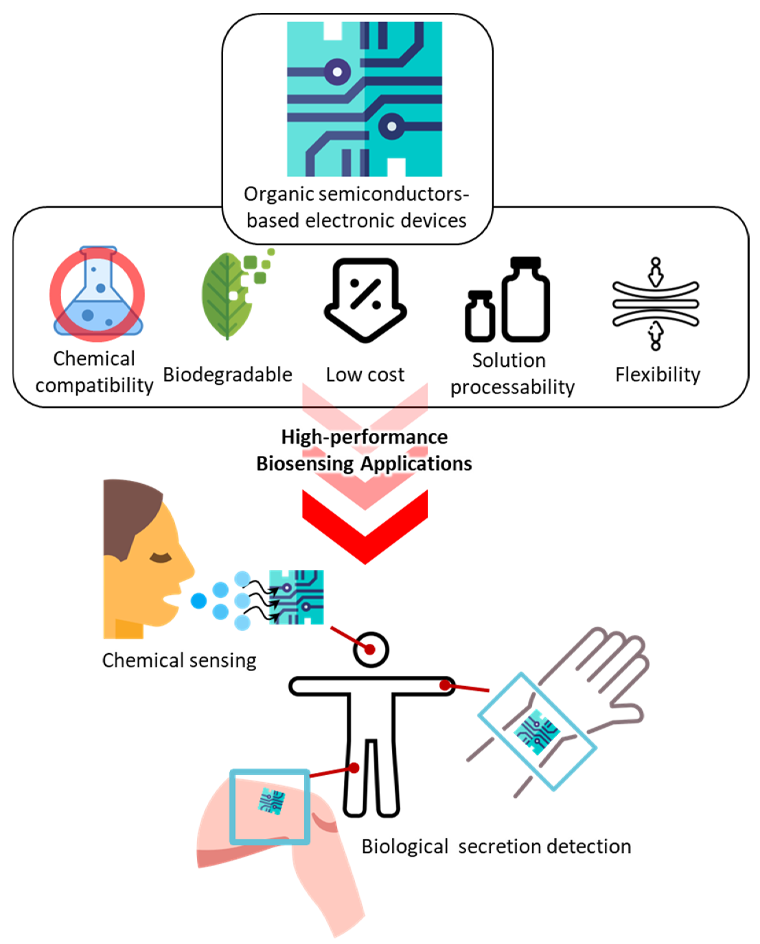New Opportunities for Organic Semiconducting Polymers in Biomedical ...