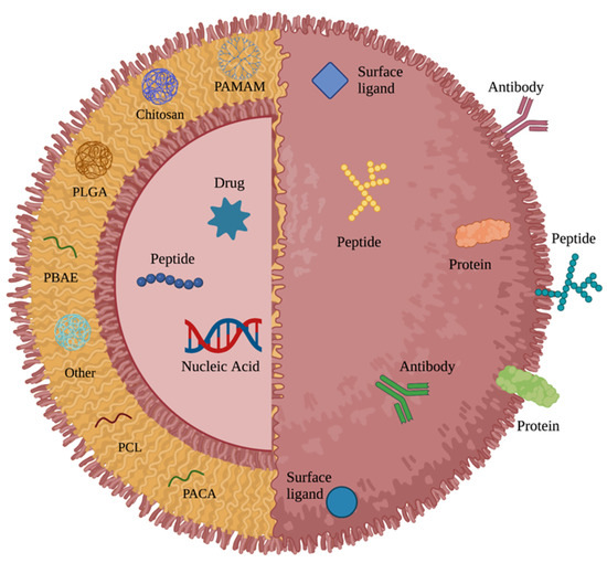 Polymeric Nanoparticles in Brain Cancer Therapy: A Review of Current ...