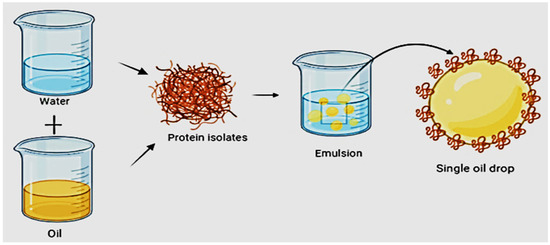 A Narrative Review on Rice Proteins: Current Scenario and Food ...