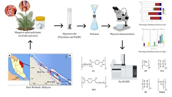 Polymers | Free Full-Text | Utilizing Pyrolysis–Gas Chromatography/Mass Spectrometry for ...