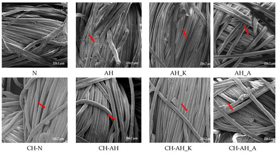 Biopolymer Textile Structure of Chitosan with Polyester