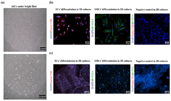 Polymers | An Open Access Journal from MDPI