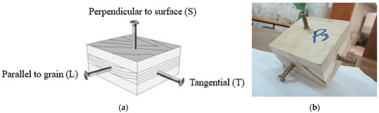 Withdrawal Performance of Nails and Screws in Cross-Laminated Timber ...