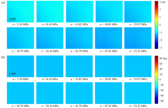 Quantitative Characterization of the Anisotropy of the Stress-Optical ...