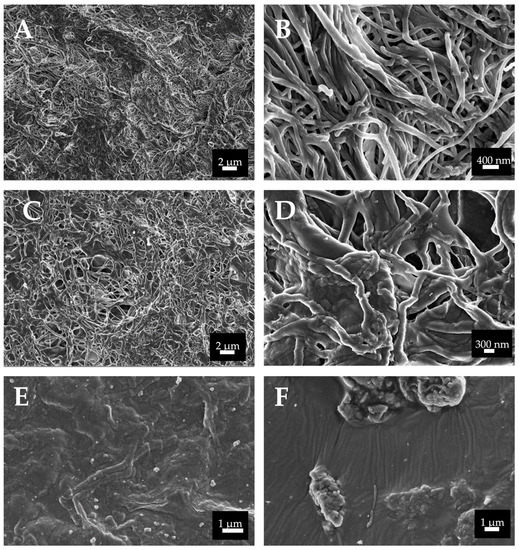 Biomimetic Remineralization of an Extracellular Matrix Collagen ...