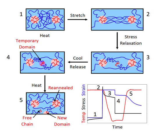 Recent Developments in Shape Memory Elastomers for Biotechnology ...