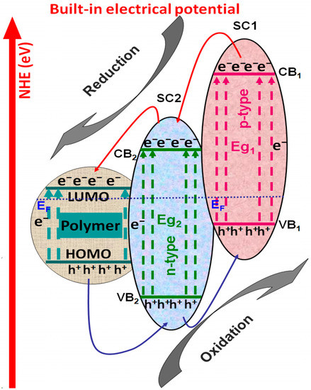 Polymer Composite-Based Materials with Photocatalytic Applications in ...