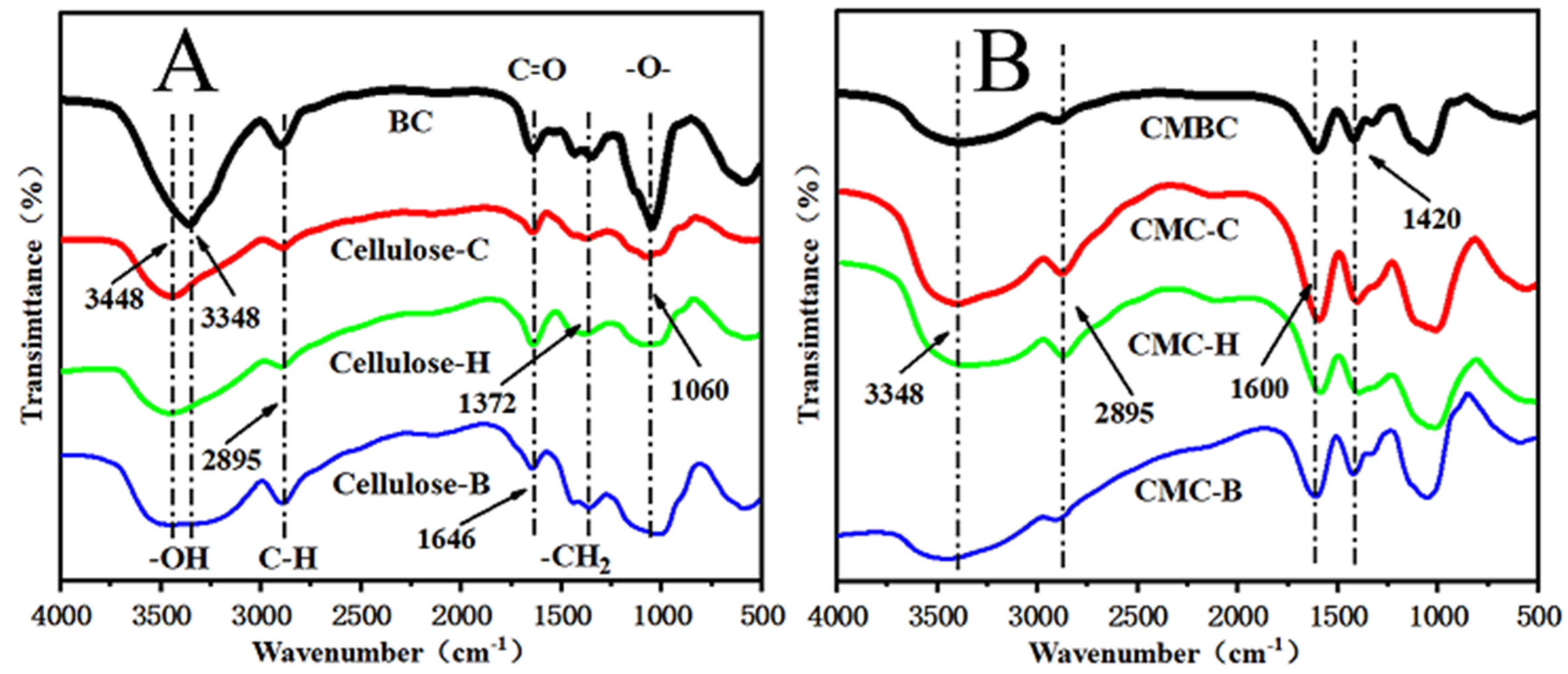 Antibacterial Films Made of Bacterial Cellulose