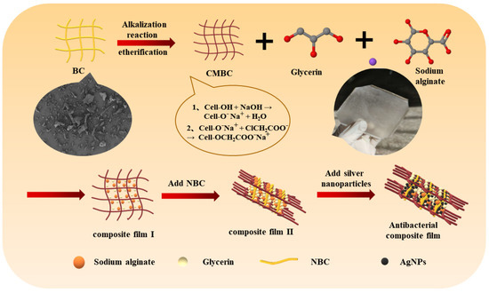 Polymers | Free Full-Text | Antibacterial Films Made of Bacterial Cellulose