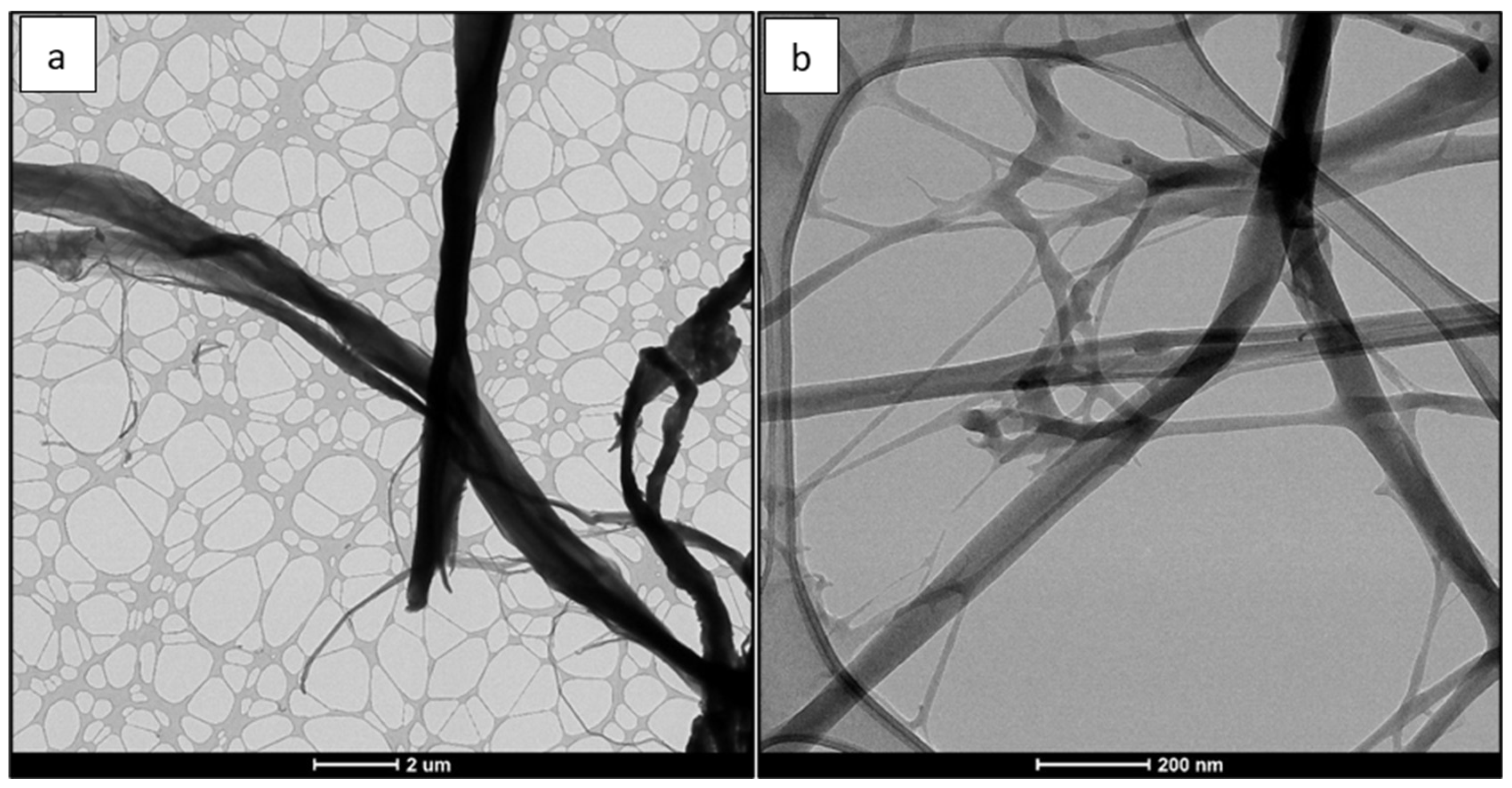 Preparation and Characterization of Polysulfone Membranes Reinforced ...