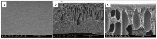 Preparation and Characterization of Polysulfone Membranes Reinforced ...