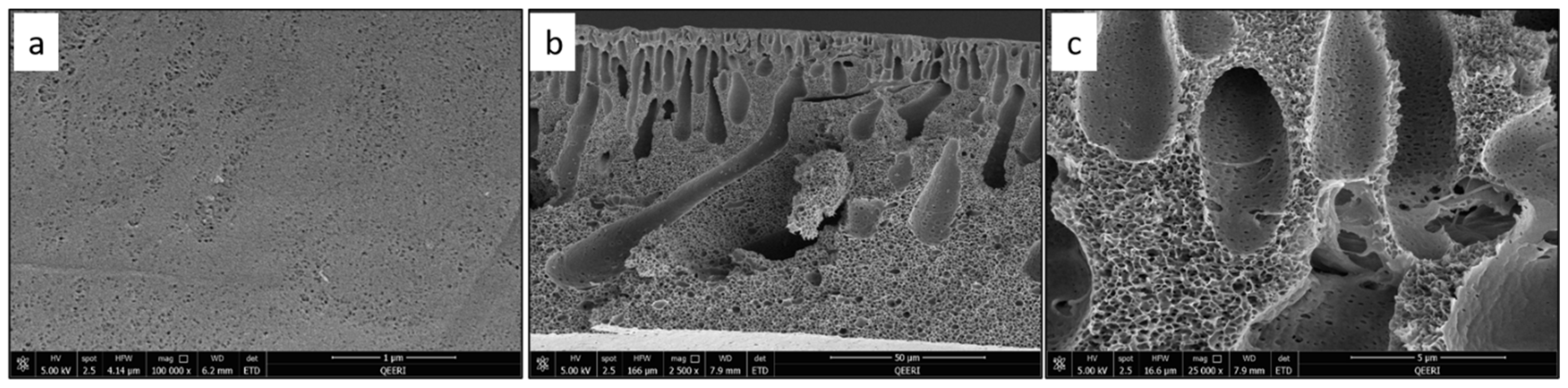 Preparation and Characterization of Polysulfone Membranes Reinforced ...