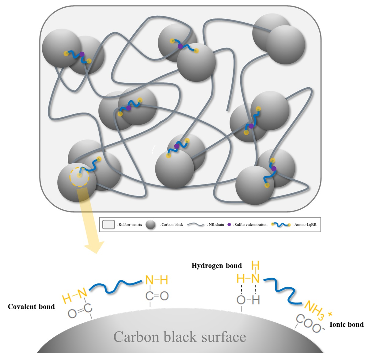 Polymers | Free Full-Text | Effects of the Diamine Chain End ...