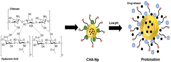 Chitosan–Hyaluronic Acid Nanoparticles for Active Targeting in Cancer ...