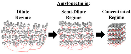 Polymers | Free Full-Text | Cluster Size of Amylopectin and Nanosized ...