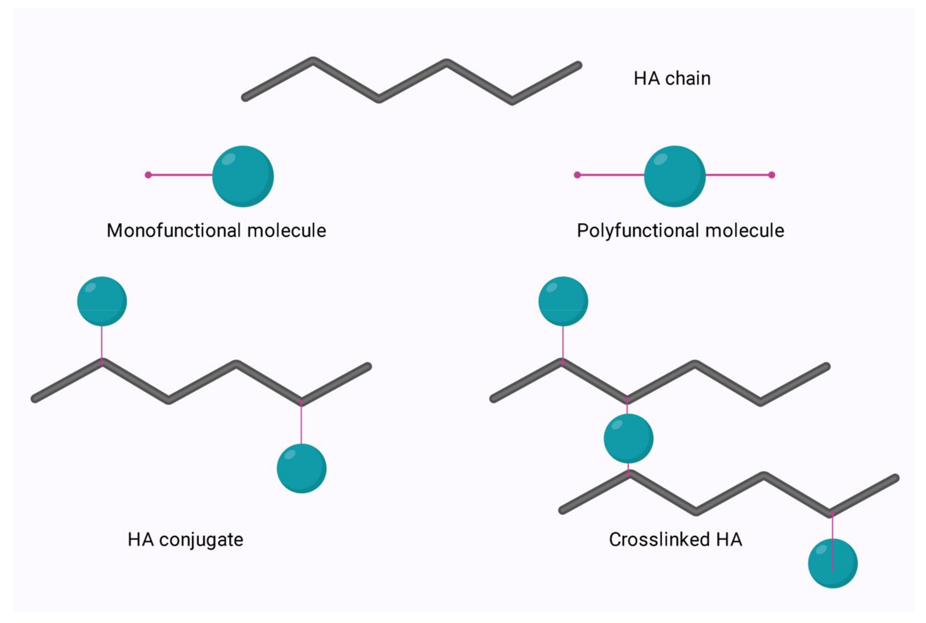 Modification of Hyaluronic Acid to Improve Functionality | Encyclopedia ... Modification of Hyaluronic Acid to Improve Functionality | Encyclopedia ...