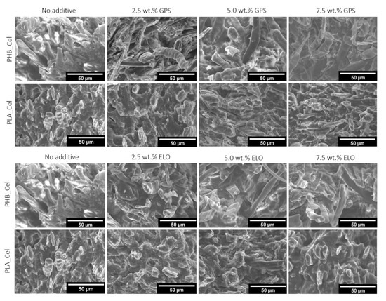 Improving the Processability and Performance of Micronized Fiber ...