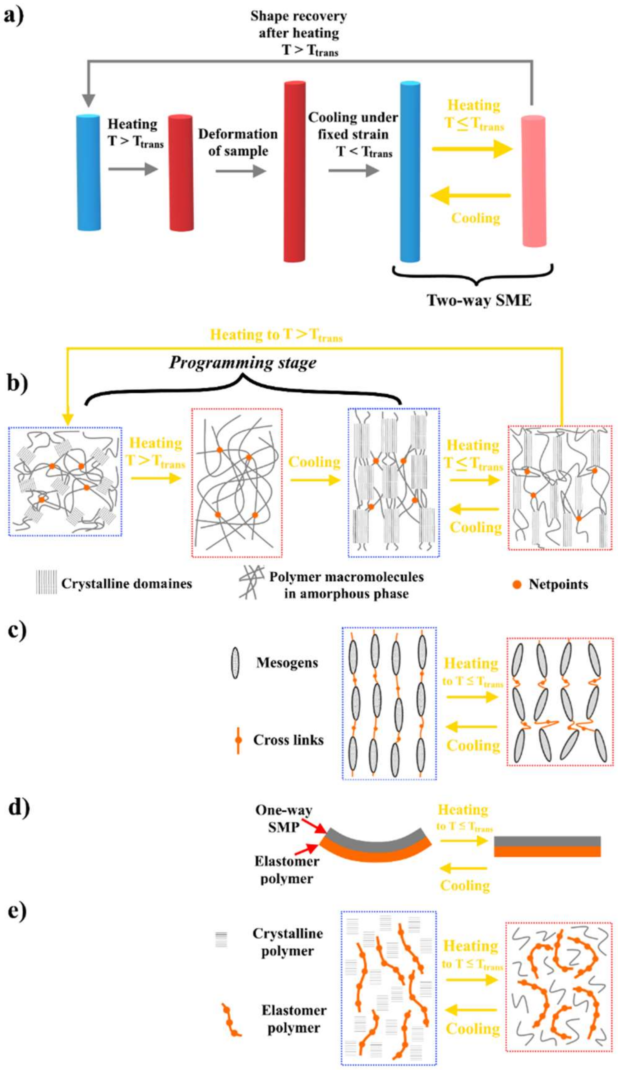 Polymers | Free Full-Text | Shape Memory Polymers as Smart Materials: A ...