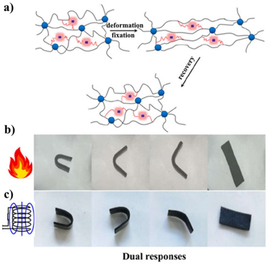 Polymers | Free Full-Text | Shape Memory Polymers as Smart Materials: A Review