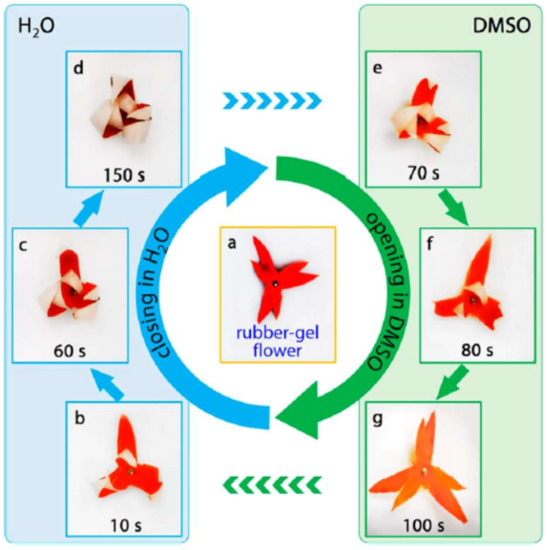 Polymers | Free Full-Text | Shape Memory Polymers as Smart Materials: A Review
