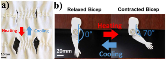 Polymers | Free Full-Text | Shape Memory Polymers as Smart Materials: A ...