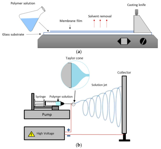 A Brief Review of Poly(Vinyl Alcohol)-Based Anion Exchange Membranes ...