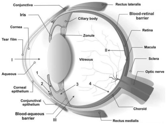 Current Advances in Nano-Based and Polymeric Stimuli-Responsive Drug ...