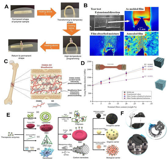 Development of Bio-Based Materials: Synthesis, Characterization and ...