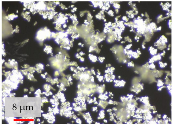 Polymers | Free Full-Text | Antibacterial Activity of Silver Nanoflake ...
