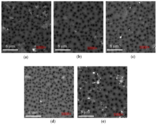 Polymers | Free Full-Text | Antibacterial Activity of Silver Nanoflake ...