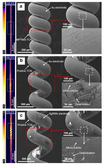 A Thermo-Mechanically Robust Compliant Electrode Based on Surface ...