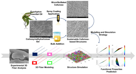 Design and Engineering of Natural Cellulose Fiber-Based Biomaterials ...