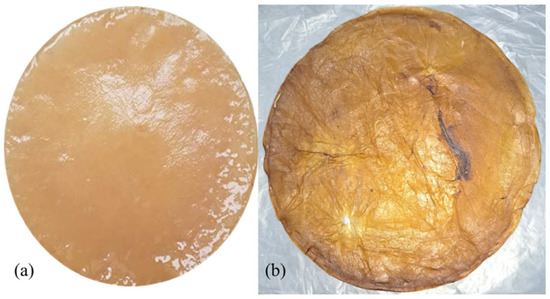 Production and Characterization of Biocomposite Films of Bacterial ...