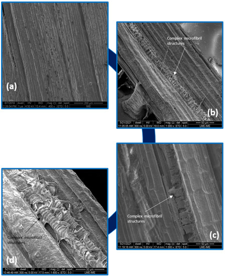 Water Immersion Aging of Epoxy Resin and Fique Fabric Composites ...