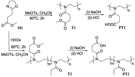 Polymers | Free Full-Text | Bactericidal Anti-Adhesion Potential ...