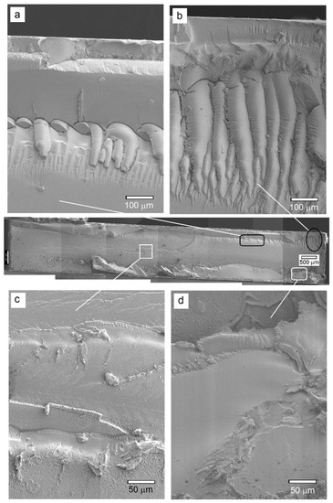 Polycarbonate/Titania Composites Incorporating TiO2 with Different ...