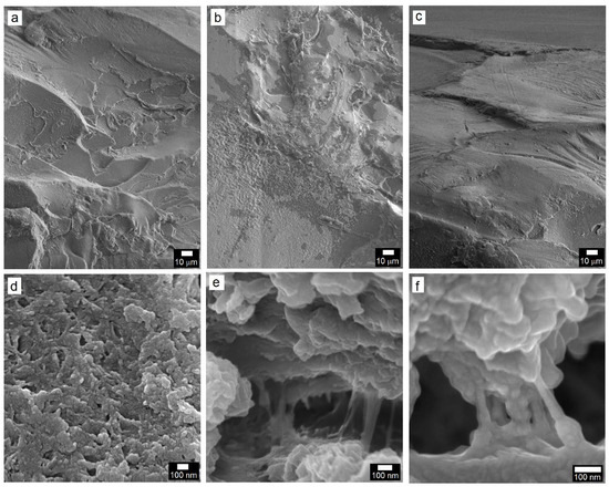 Polycarbonate/Titania Composites Incorporating TiO2 with Different ...