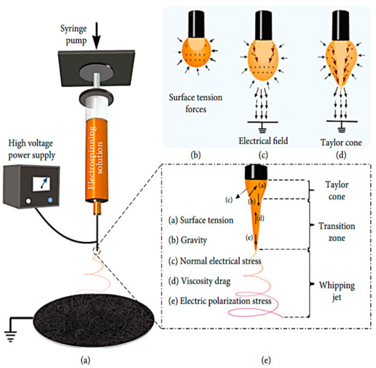 Electrospinning of Biomedical Nanofibers/Nanomembranes: Effects of Process Parameters